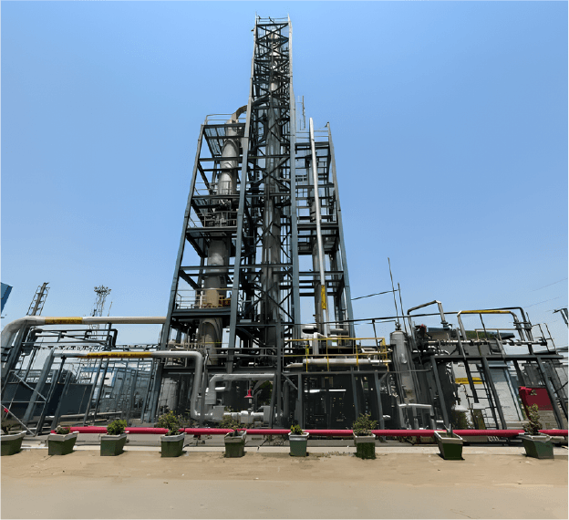 Green Power Plant Project Management & Engineering Services